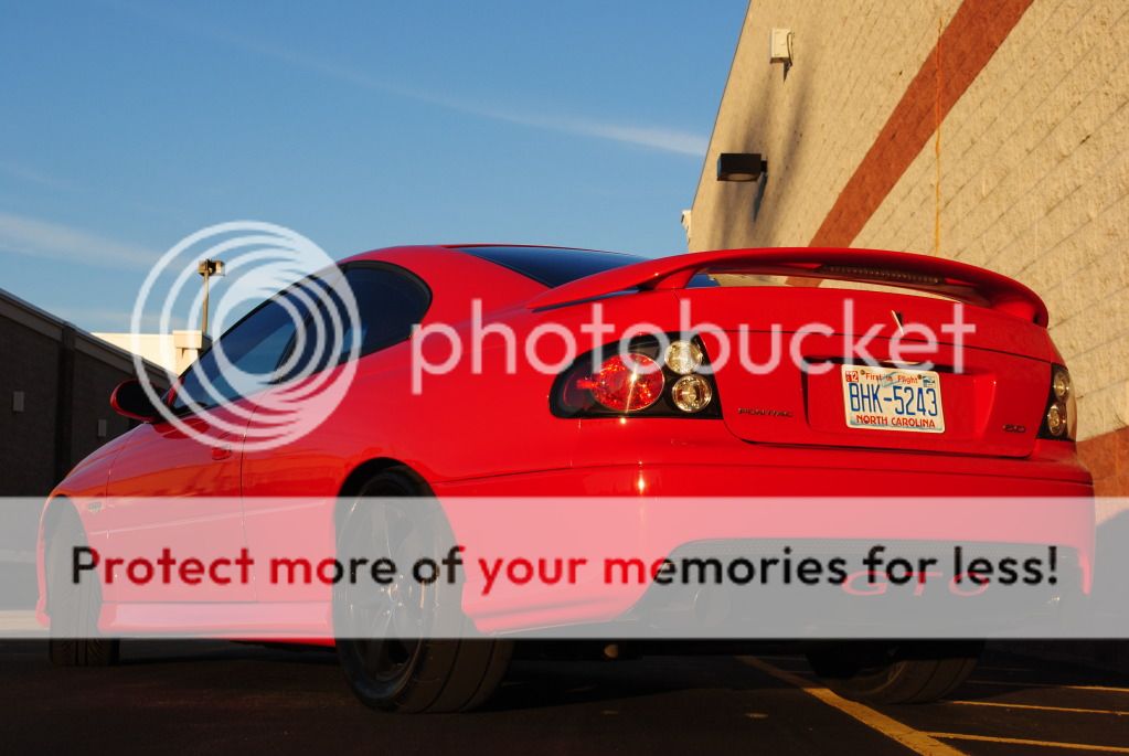 GTO/Cobra photoshoot | LS1GTO Forums