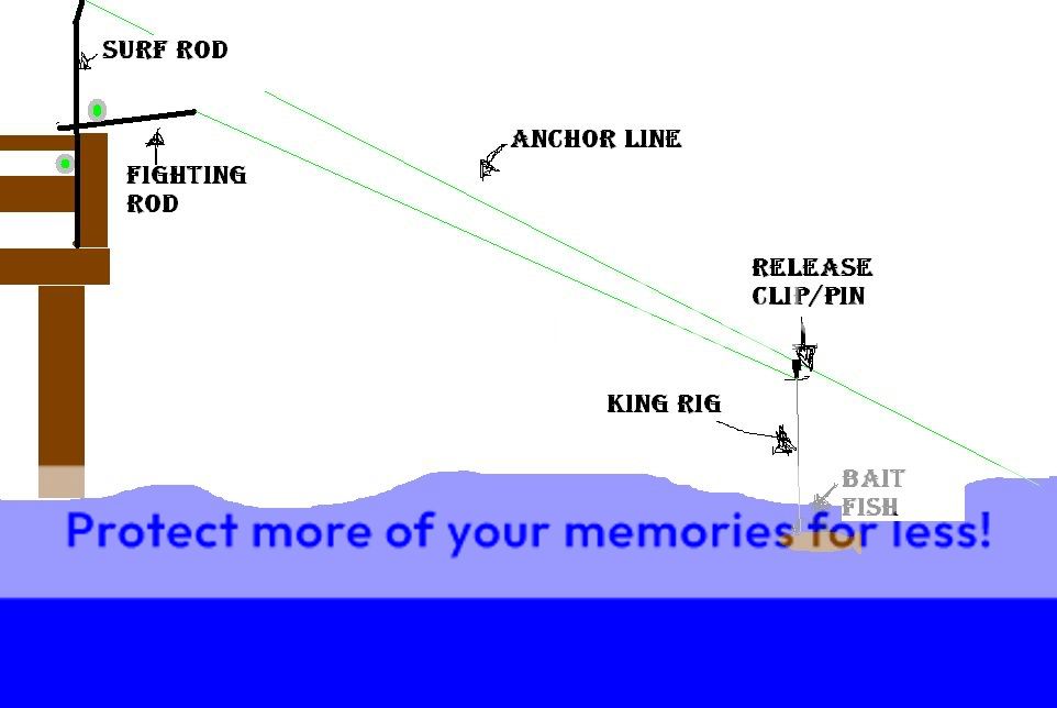 pin rig ? | Pier and Surf Forum