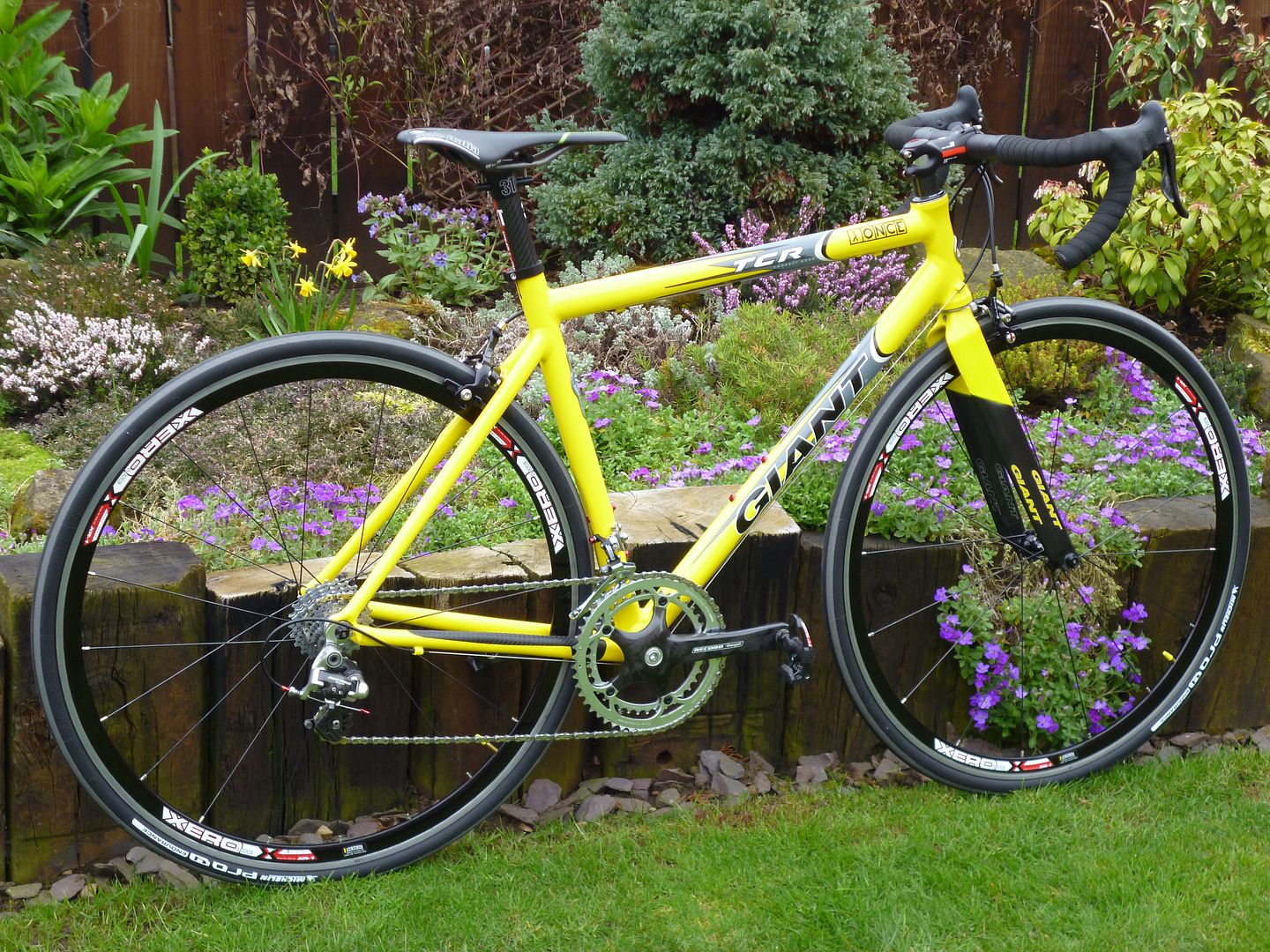 Giant TCR ONCE team F&F now £150 posted SOLD | Retrobike