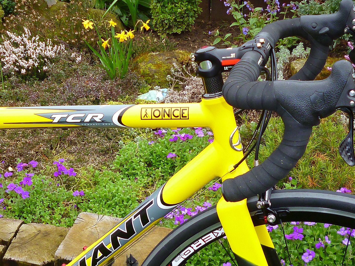 Giant TCR ONCE team F&F now £150 posted SOLD | Retrobike