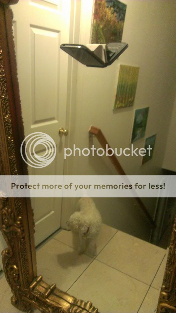 Milo Stand by Blue Lounge Review | XDA Forums