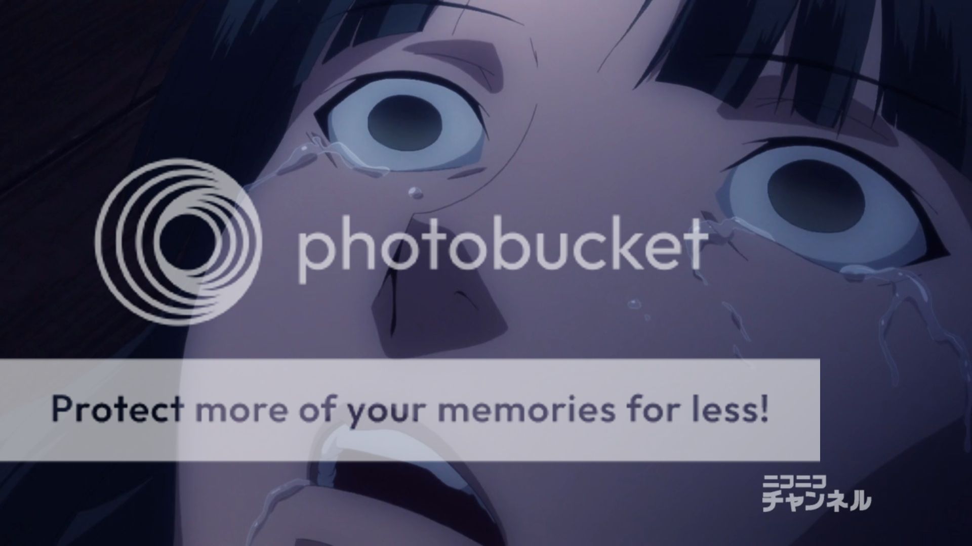 Is the Matou family trait to be a scumbag? : r/fatestaynight