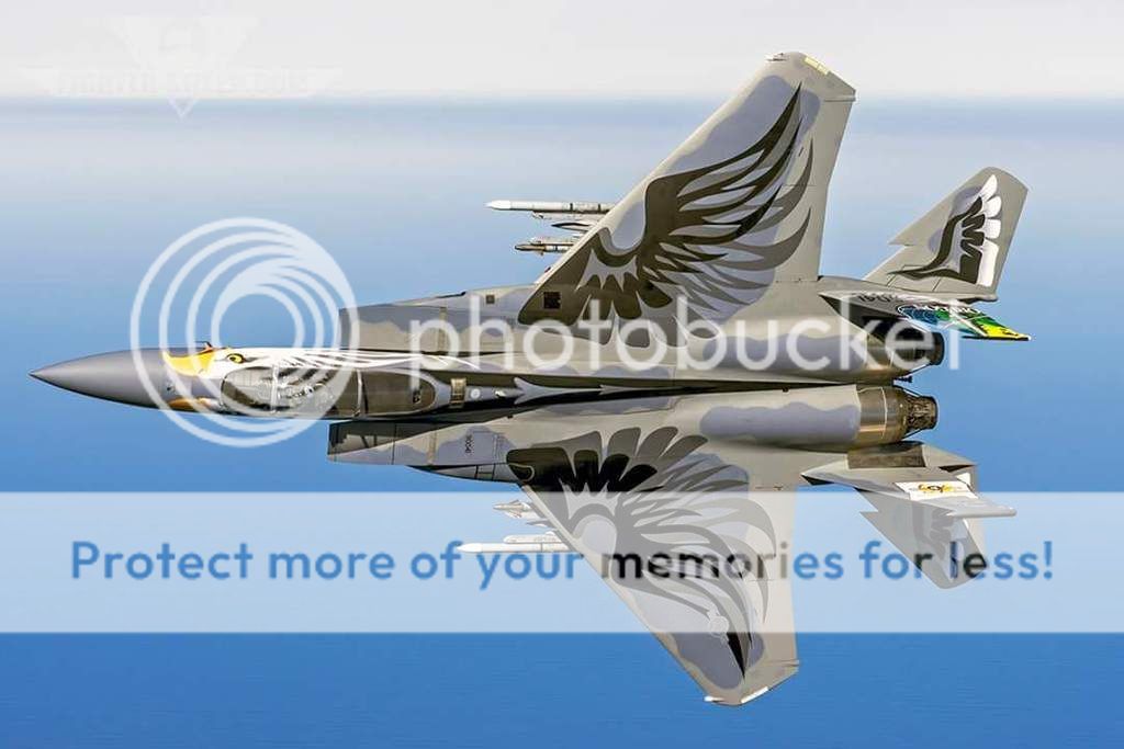 173rd FW Anniversary Jet - FighterControl