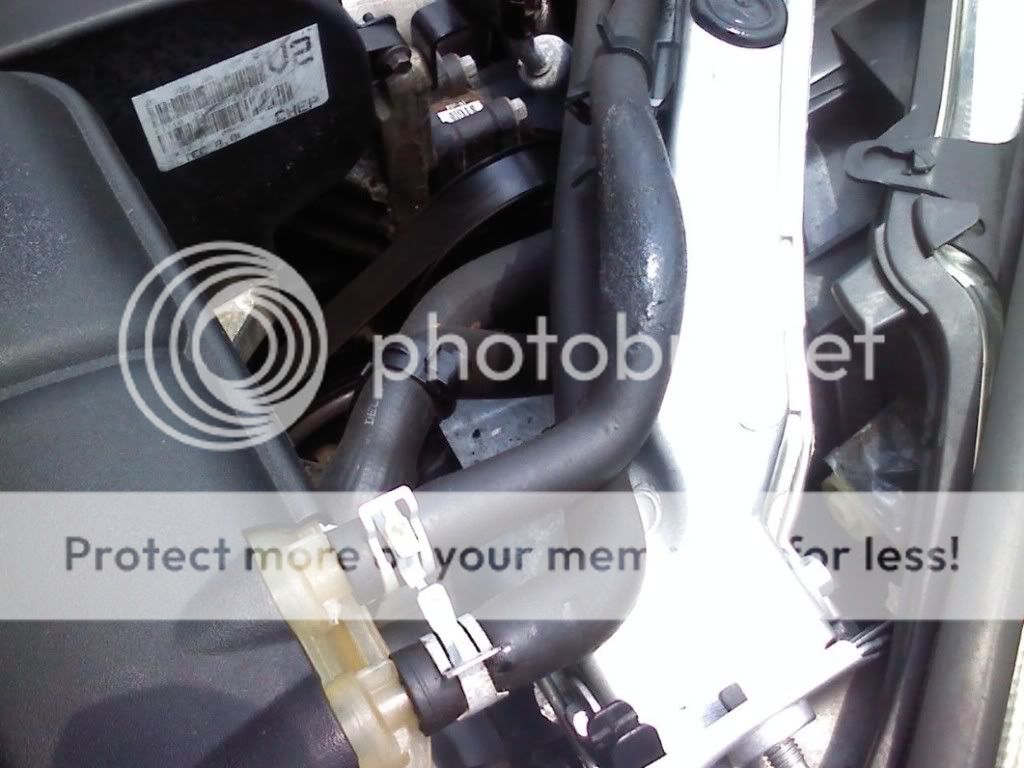 Radiator Hose/ Coolant questions | Focus Fanatics Forum